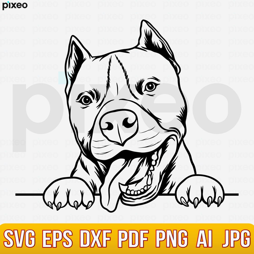 Pitbull Svg, American Pit Bull Svg, Pitbull Clipart, Pitbull Vector ...