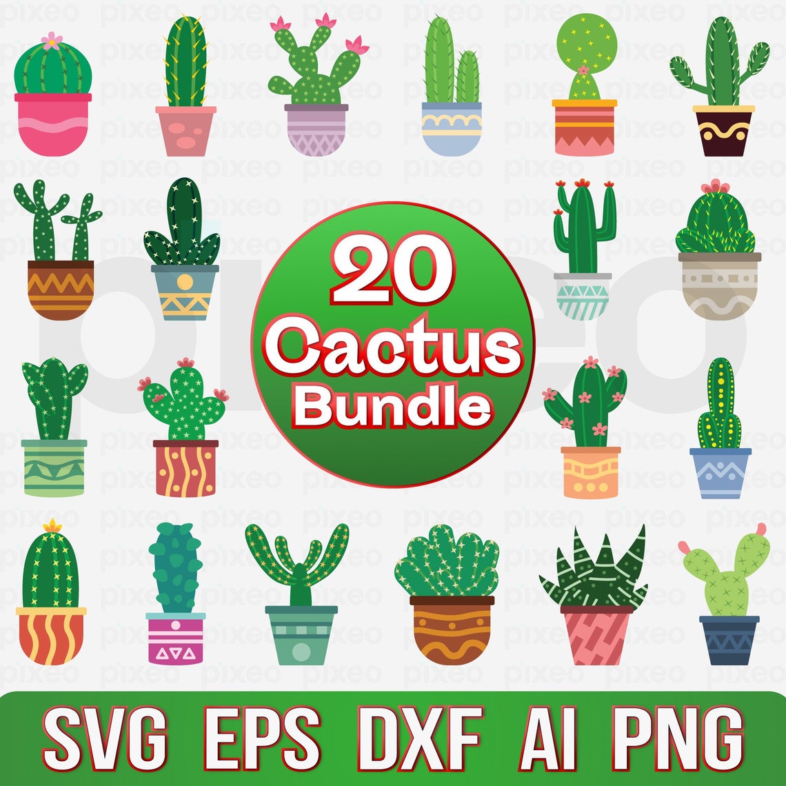 Cactus SVG Cactus Clipart Succulent Svg Cacti Svg Plants - Etsy