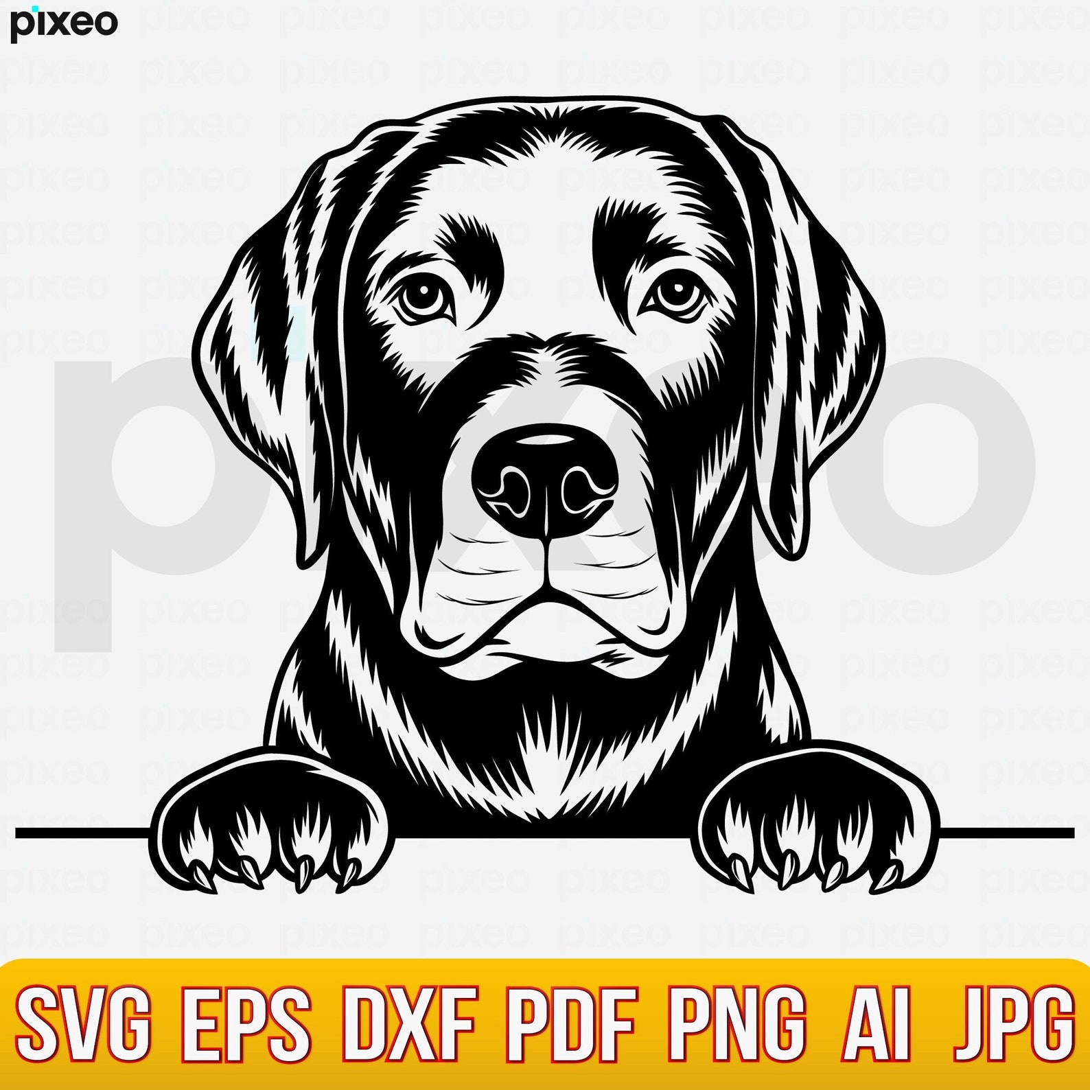Labrador Svg, Labrador Retriever Svg, Labrador Clipart, Labrador Vector ...