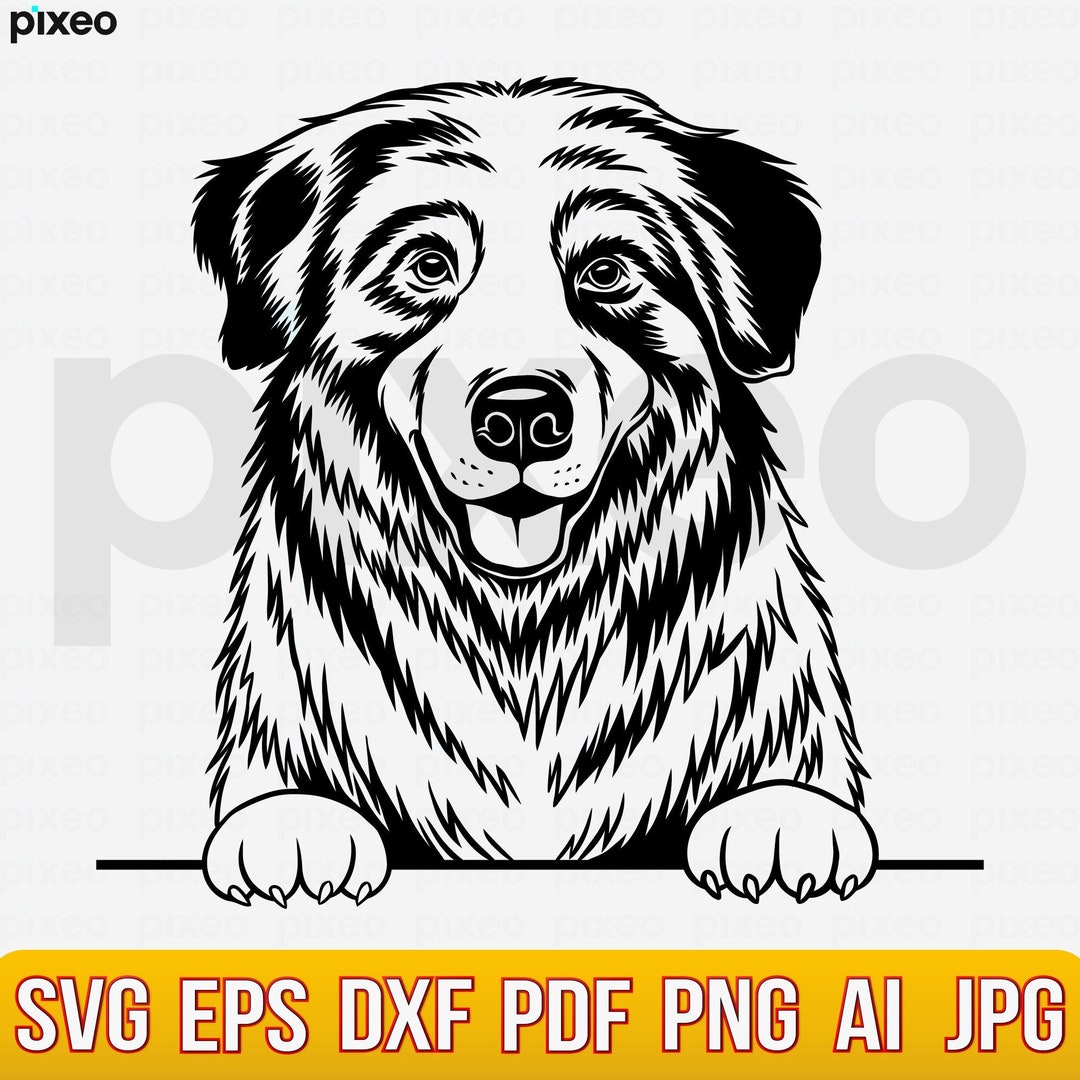 Australian Shepherd Svg, Aussie Svg, Aussie Clipart, Dog Svg, Dog Lover ...