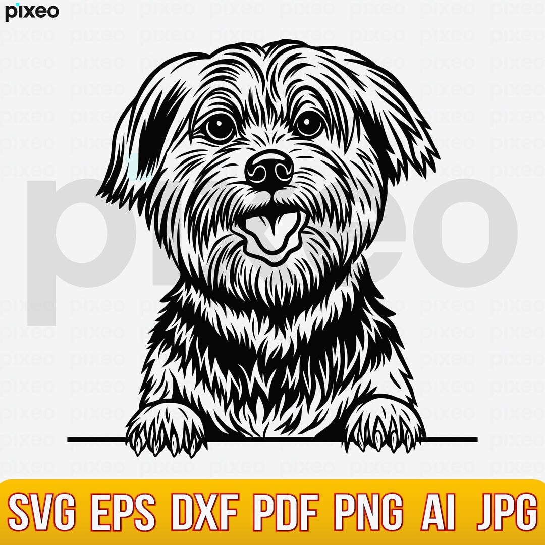Yorkshire Terrier Svg, Yorkshire Clipart, Yorkshire Cricut, Yorkshire ...