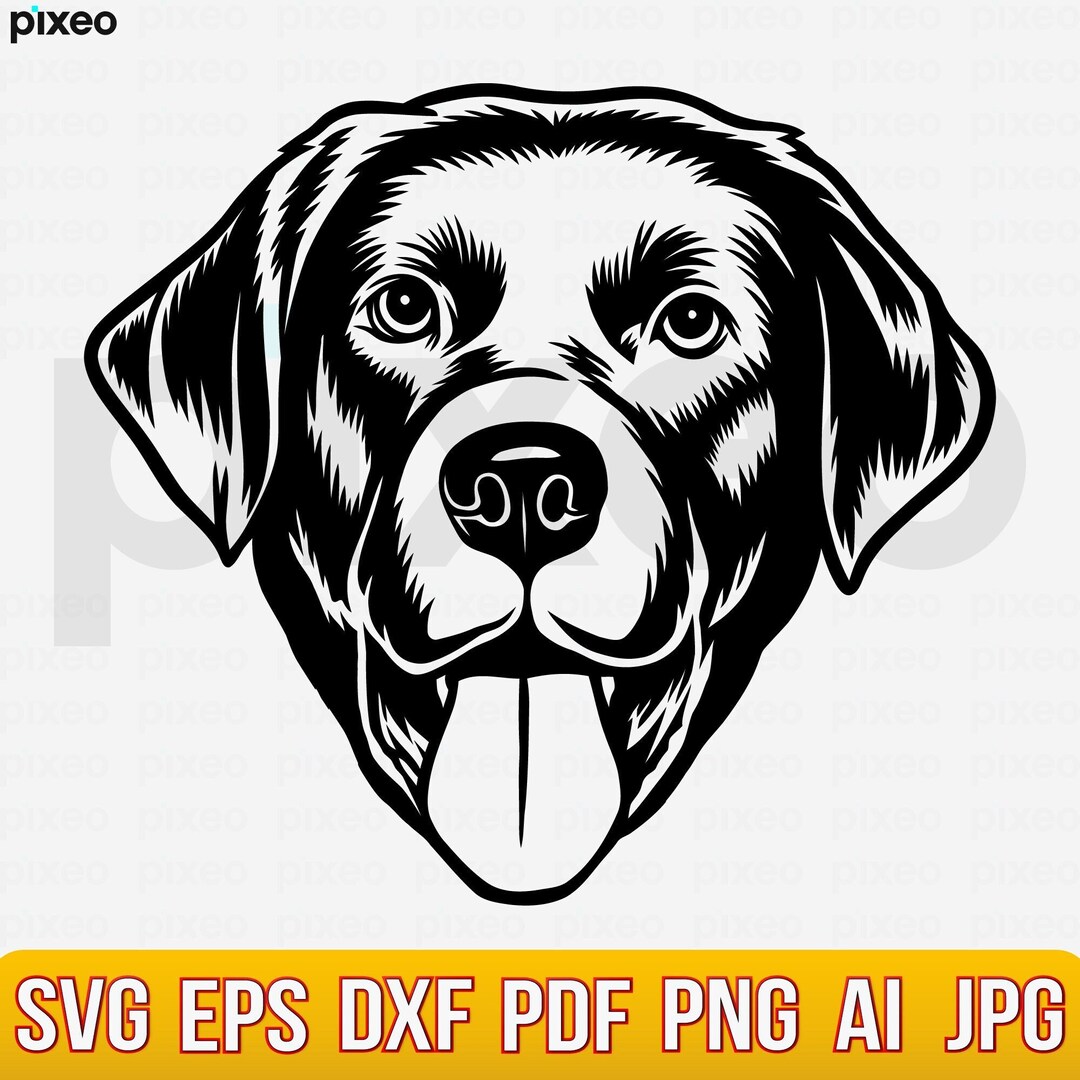 Labrador Svg, Labrador Retriever Svg, Labrador Clipart, Labrador Vector ...