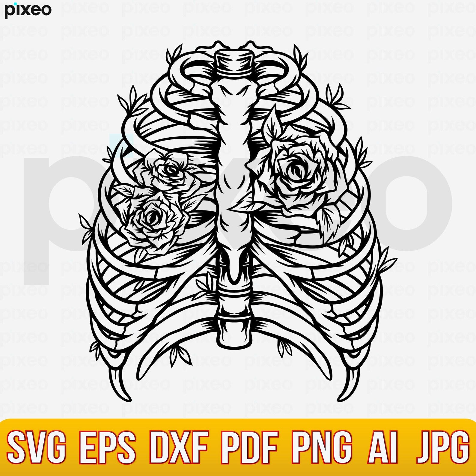 Rib Cage Floral Svg Ribcage Flowers Svg Skeleton Rib Cage - Etsy