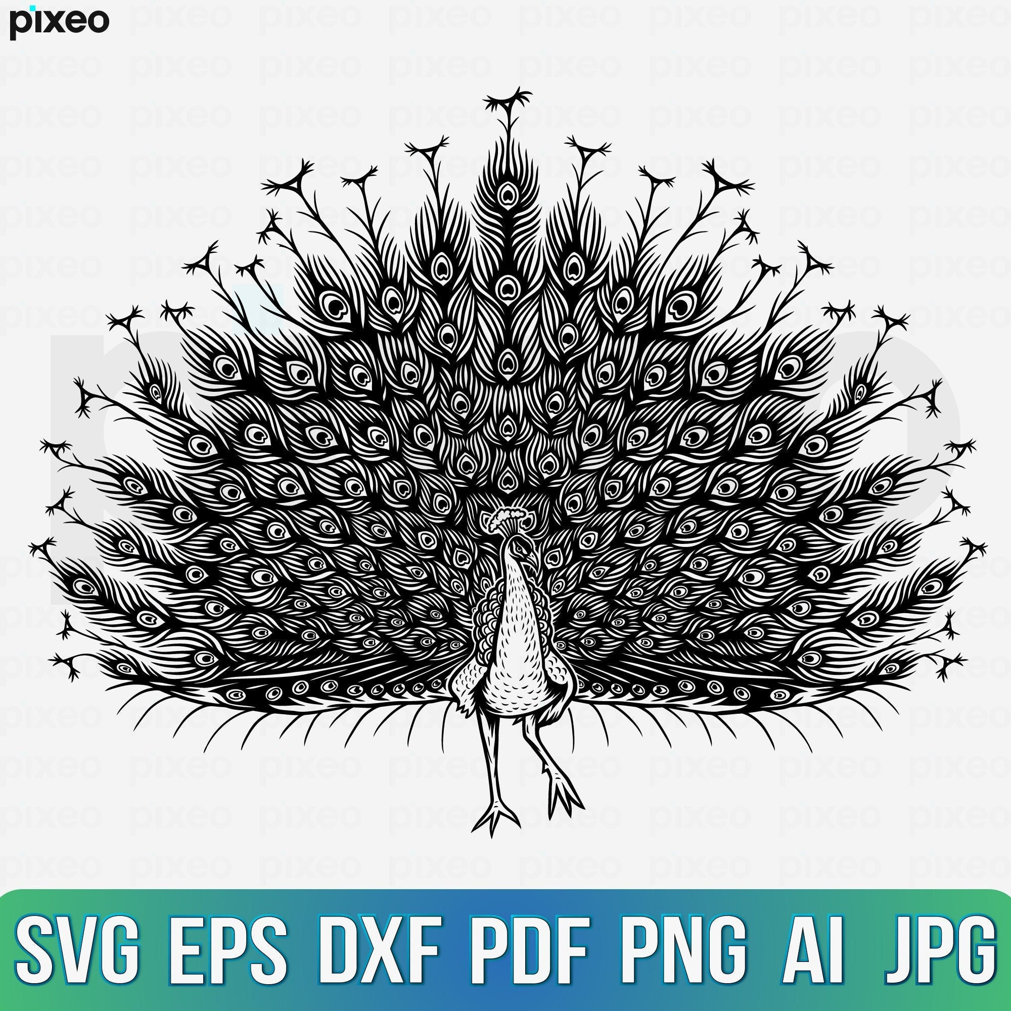 Peacock Svg Peacock Clipart Peacock Cut File Peacock - Etsy Australia