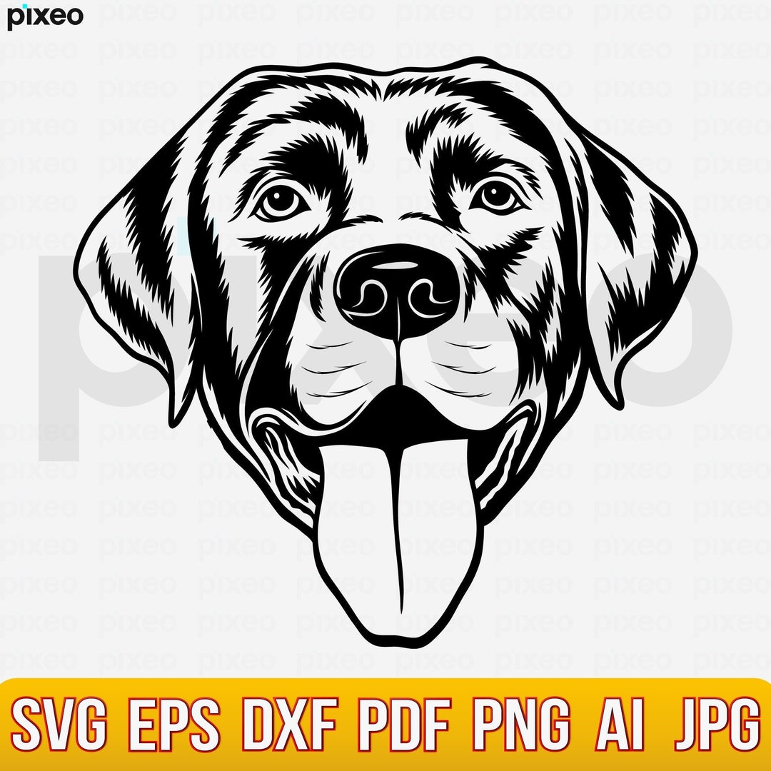 Labrador Svg, Labrador Retriever Svg, Labrador Clipart, Labrador Vector ...