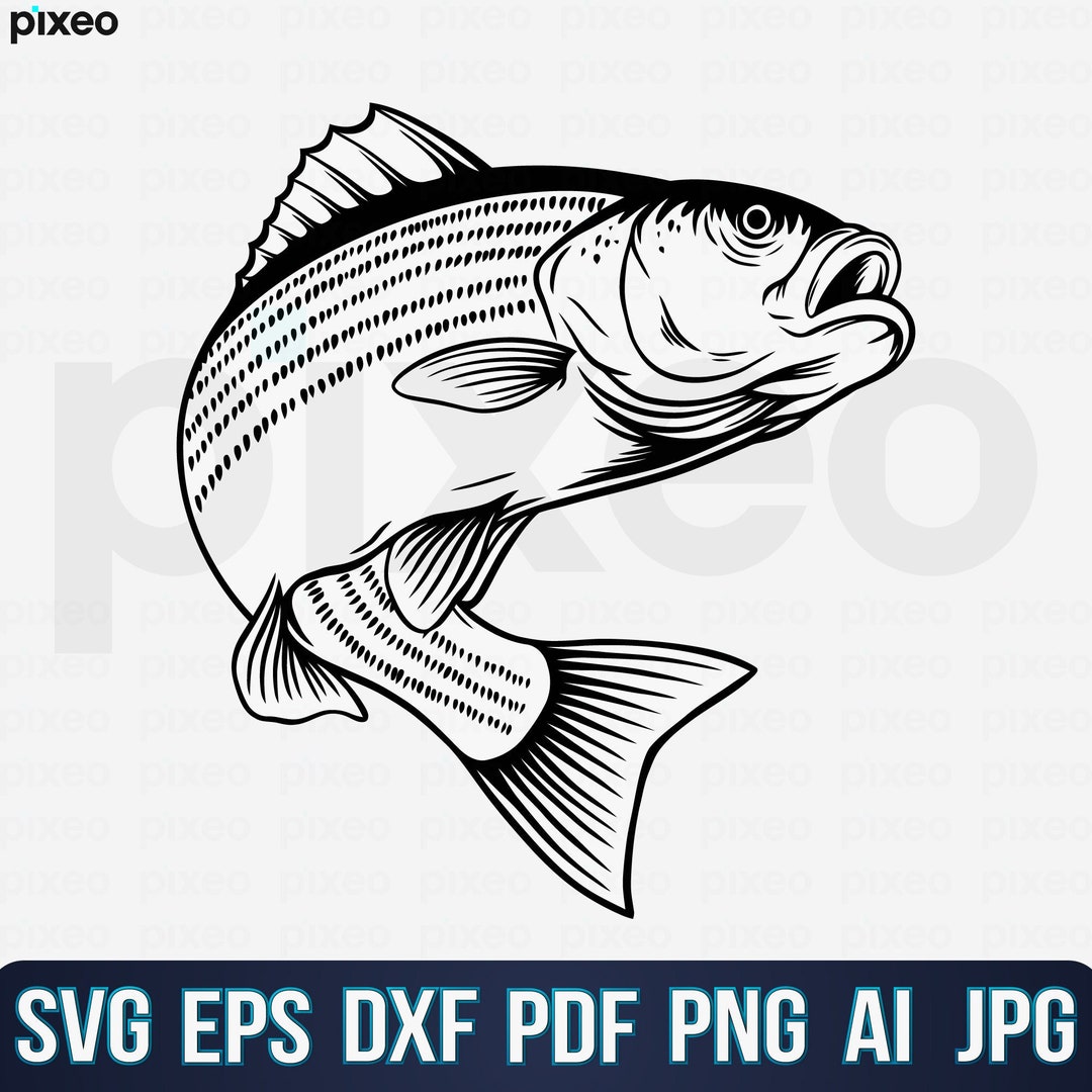 Striped Bass Fishing SVG: Fish Clipart Vector Cut File (digital ...