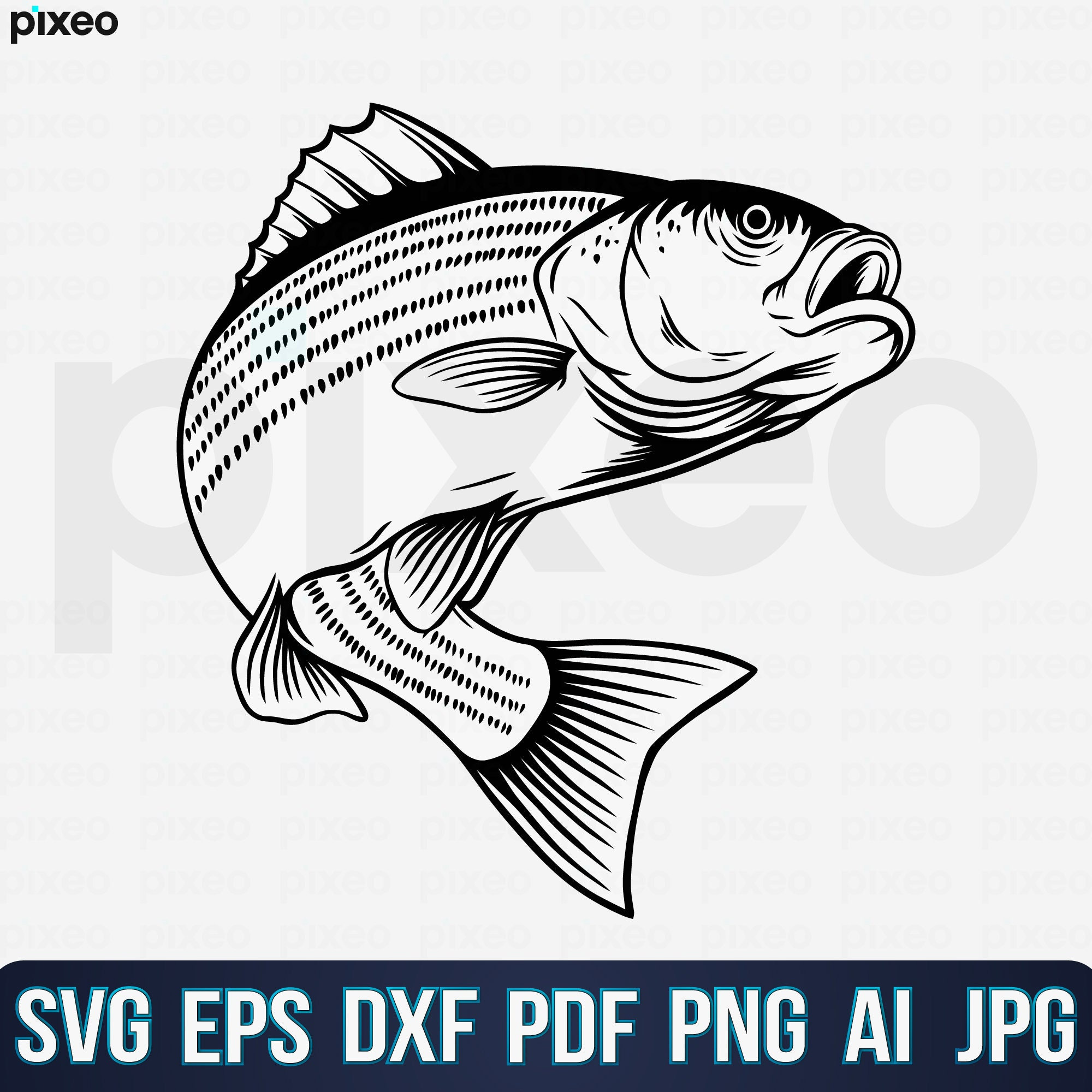Striped Bass Fishing Svg Fishing Svg Striped Bass Fish Svg - Etsy México