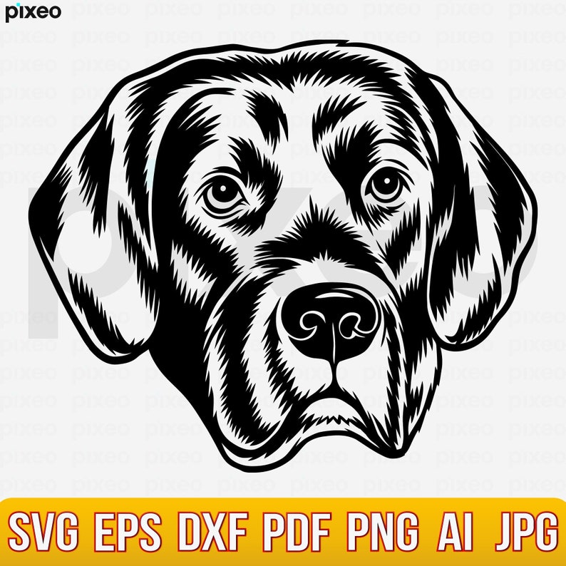 Black Labrador Peeking Dog SVG: Retriever Clipart, Vector Cut File - Etsy