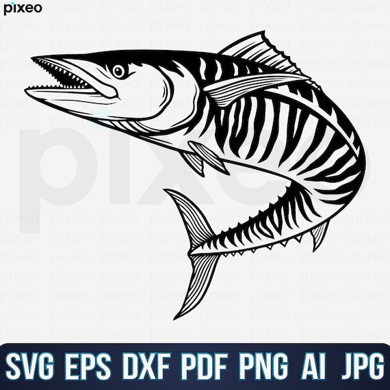 King Mackerel Vector