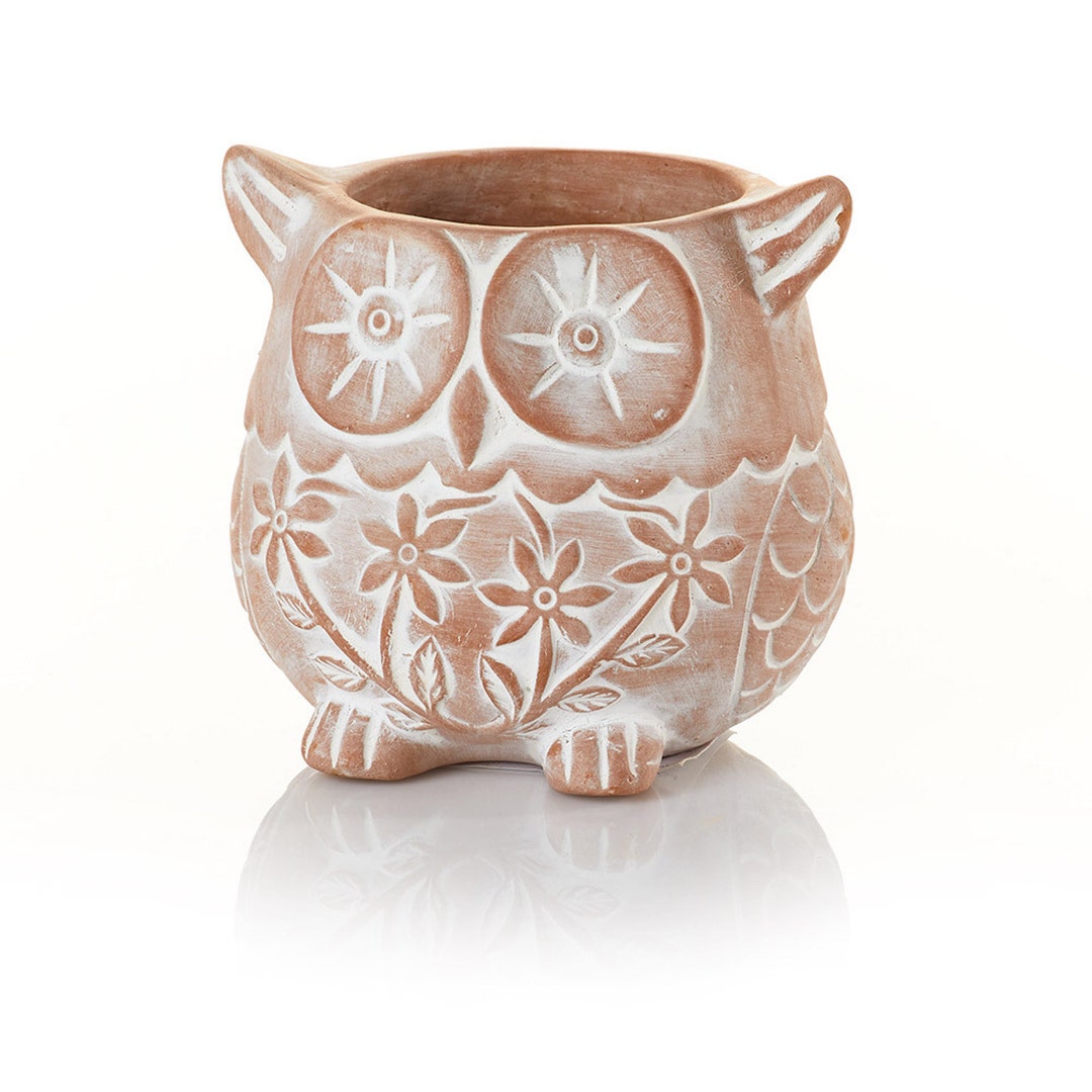 Who's Who Owl Terracotta Planter With Drainage Hole, Indoor, Outdoor ...