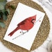 Cardinal Journal Cardinal Notebook Gift Cardinal Birds Journal for Mom ...