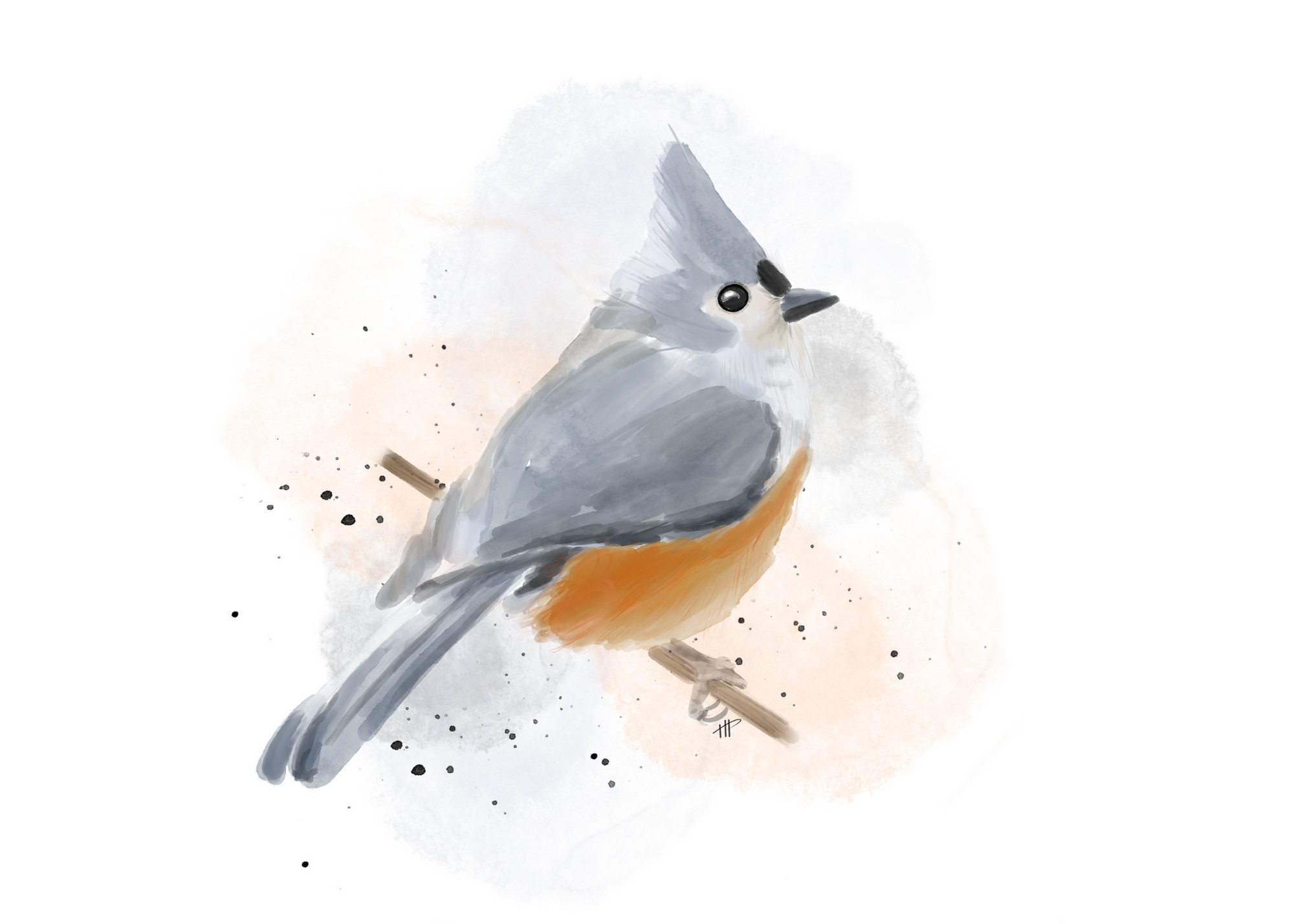 Titmouse Bird Painting Titmouse Art Titmouse Painting Titmouse Bird ...