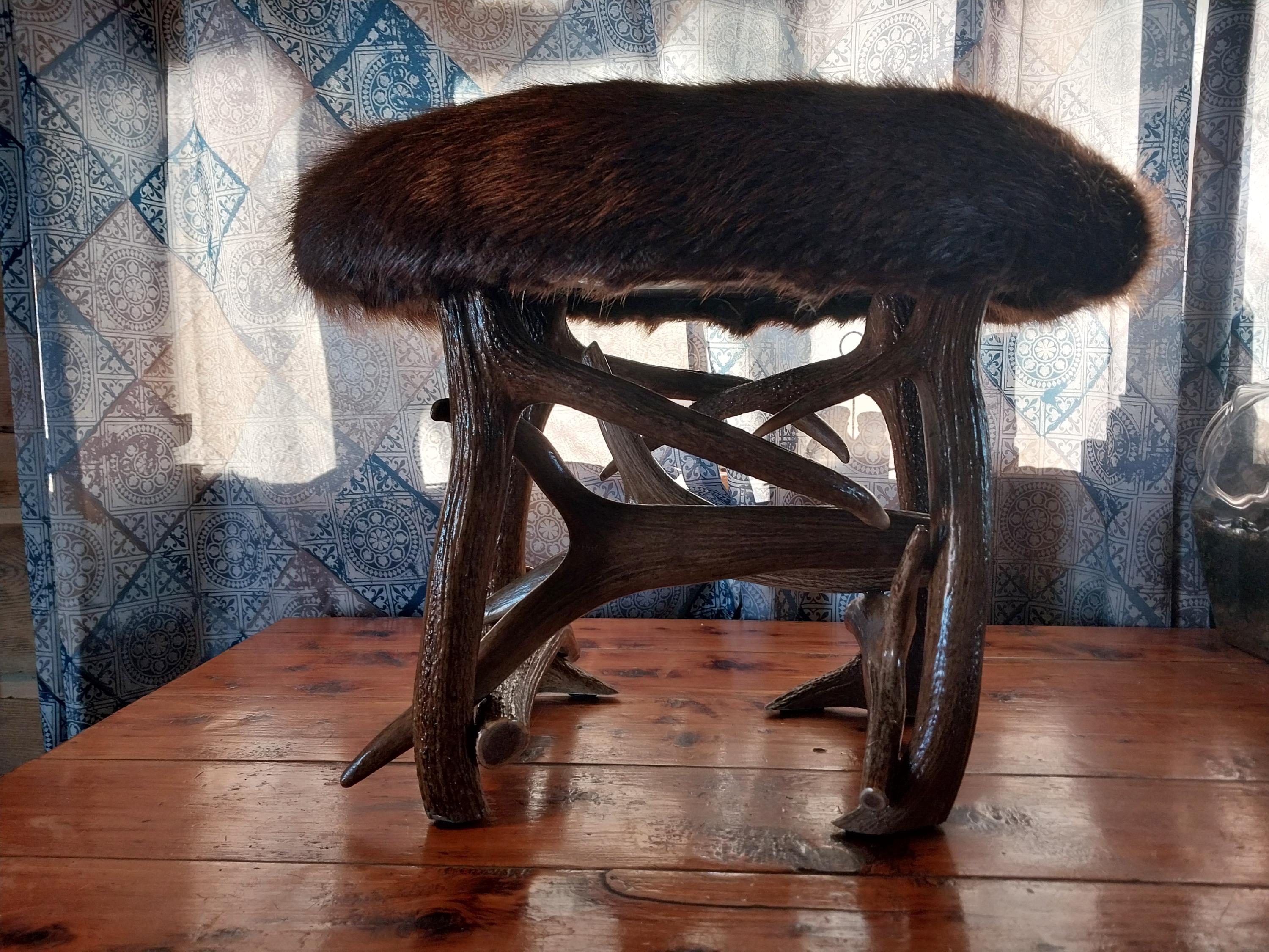 Beaver Hide With Elk Antler Base Foot Stool 4 - Etsy