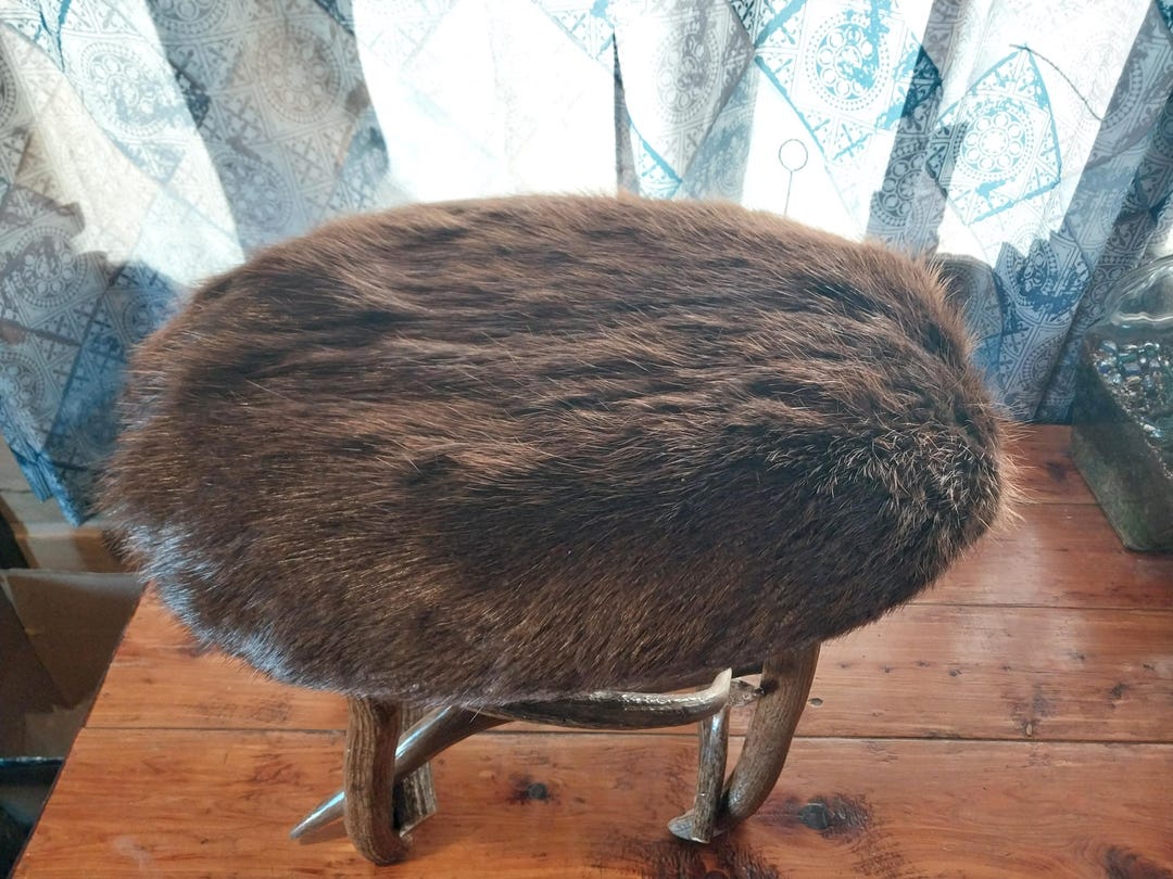 Beaver Hide With Elk Antler Base Foot Stool 4 - Etsy