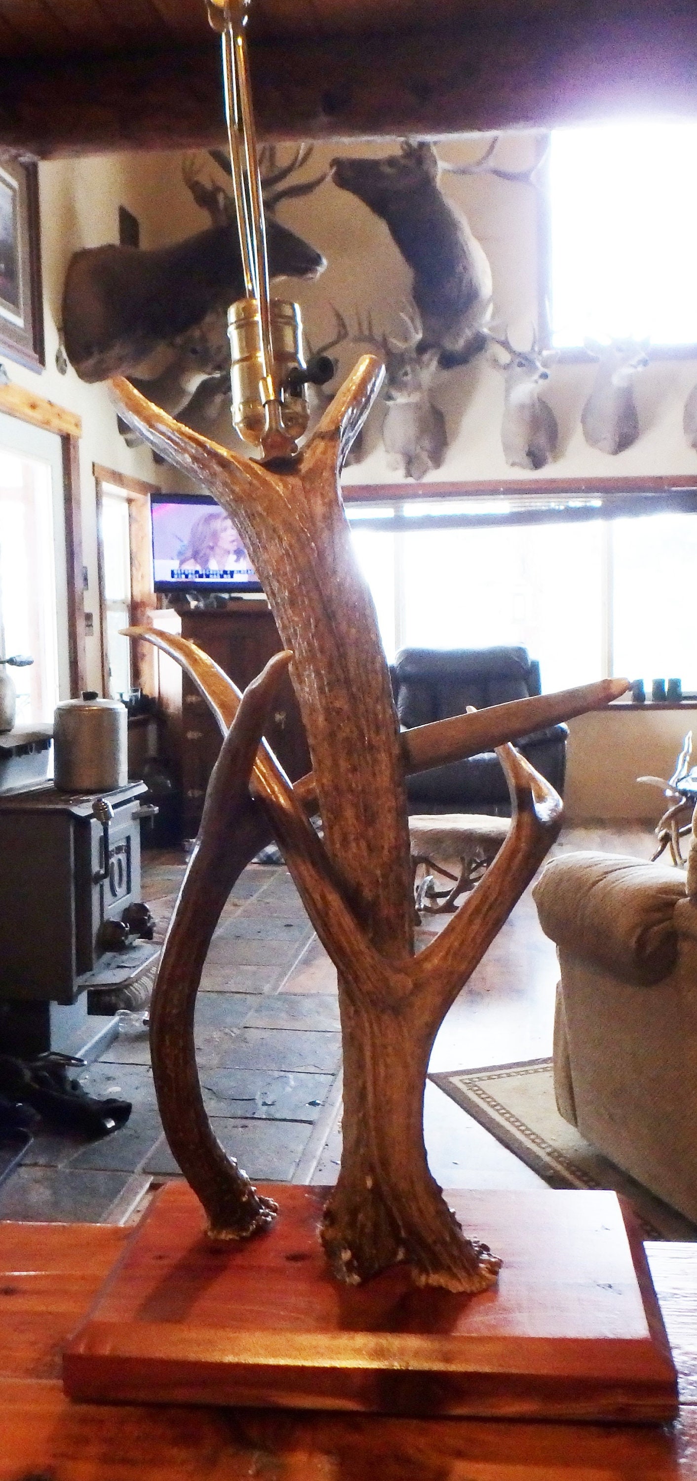 Elk and Mule Deer Antler With Red Cedar Base Table Lamp - Etsy