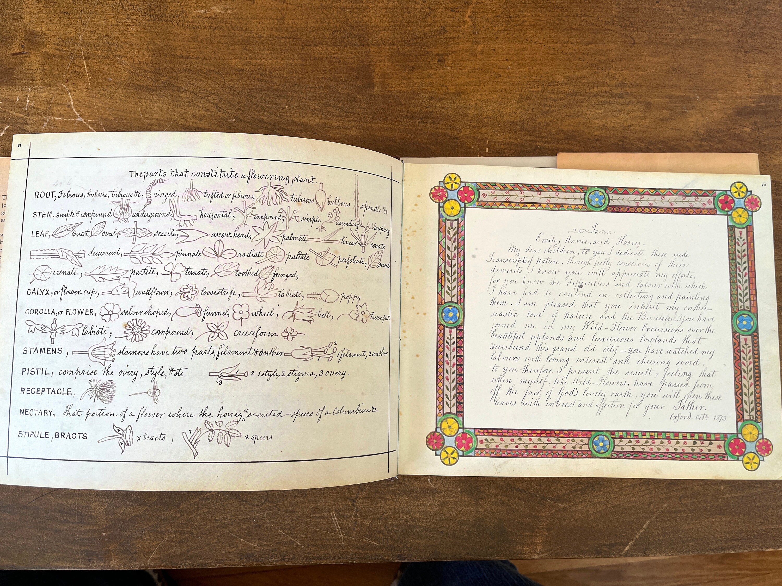 Victorian Flower Album by Henry Terry FIRST EDITION Book Published in ...