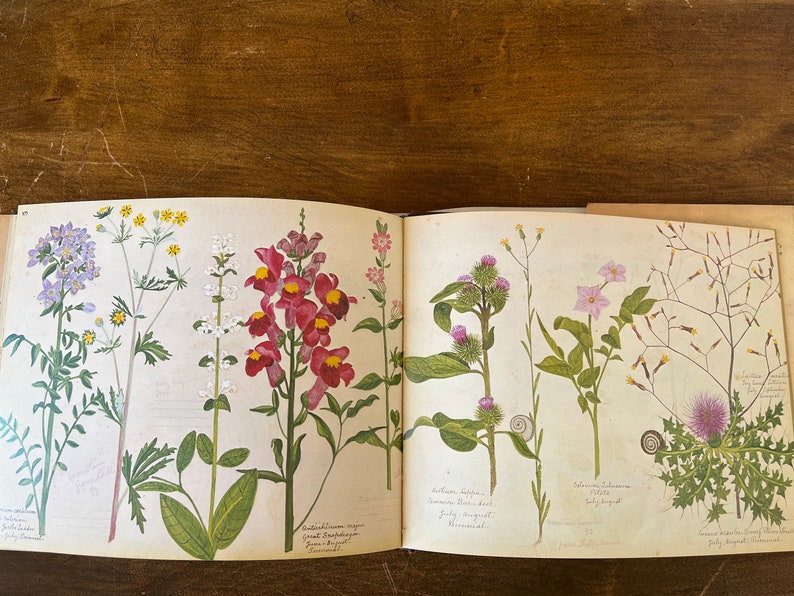 Victorian Flower Album by Henry Terry First Edition Book Published in ...