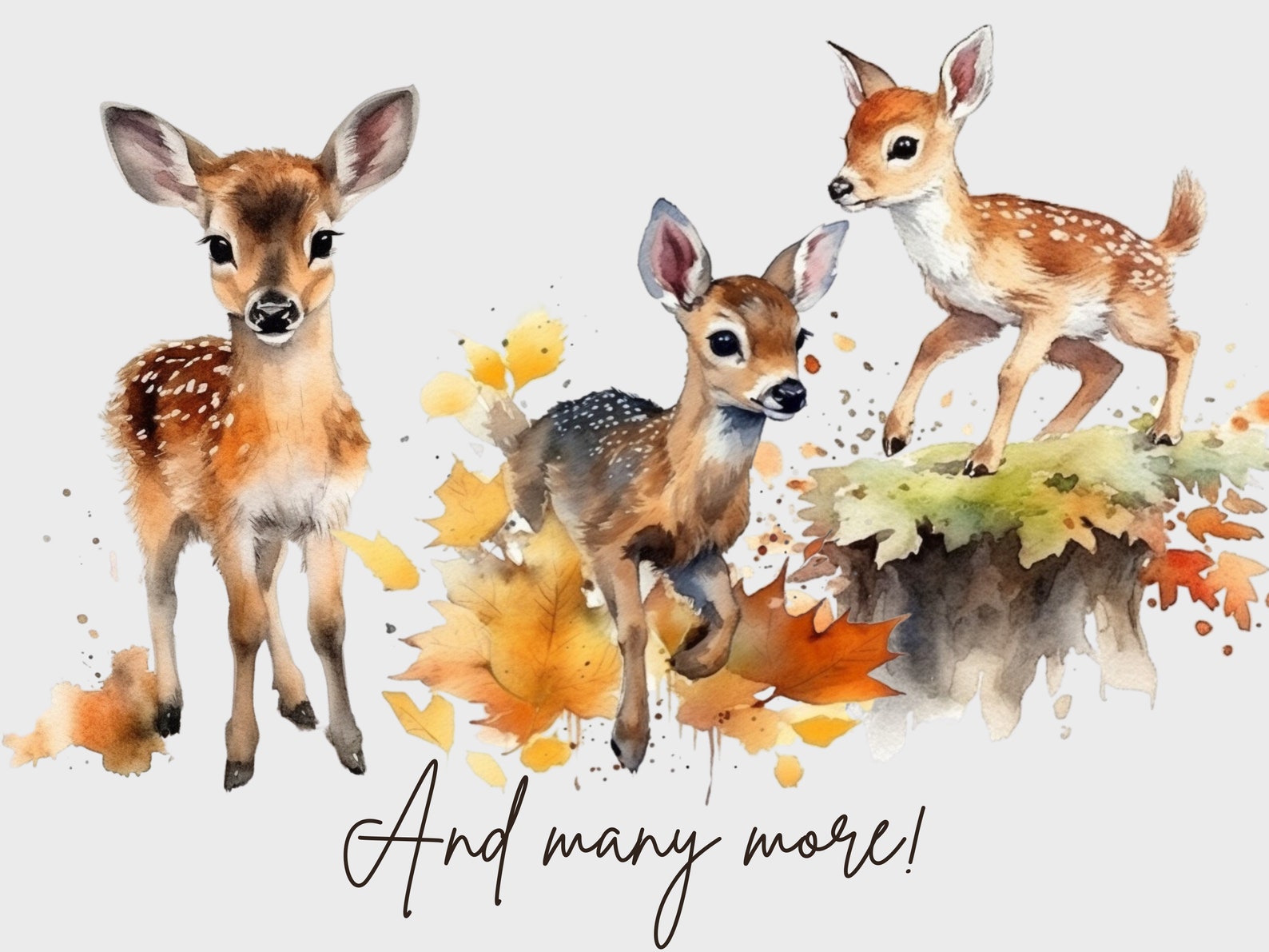 Baby Deer Watercolor Clipart 20 Transparent PNG for - Etsy