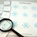 Snowflake Match Worksheet Snowflake Matching Game Winter | Etsy