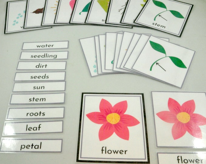 Gardening Flash Cards, Montessori, Nomenclature, Three Part Cards ...