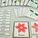 Leaves Flash Cards, Fall, Autumn, Montessori, Nomenclature, Three Part ...