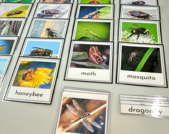 Letter P Activity Printable Preschool Printable - Etsy