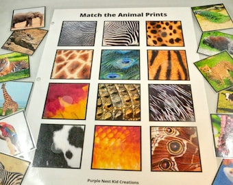 Animal Matching Worksheet - Etsy