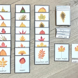 PurpleNestCreations - Etsy