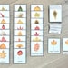 Autumn Leaves Flash Cards, Autumn, Fall Leaves, Montessori ...