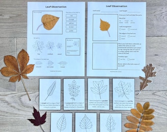 Fall Leaf Name Craft EDITABLE - Etsy