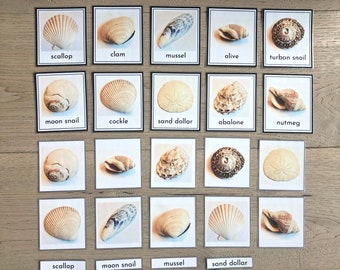 Gardening Flash Cards, Montessori, Nomenclature, Three Part Cards ...