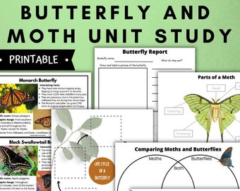 Life Cycles Printable Pack - Etsy
