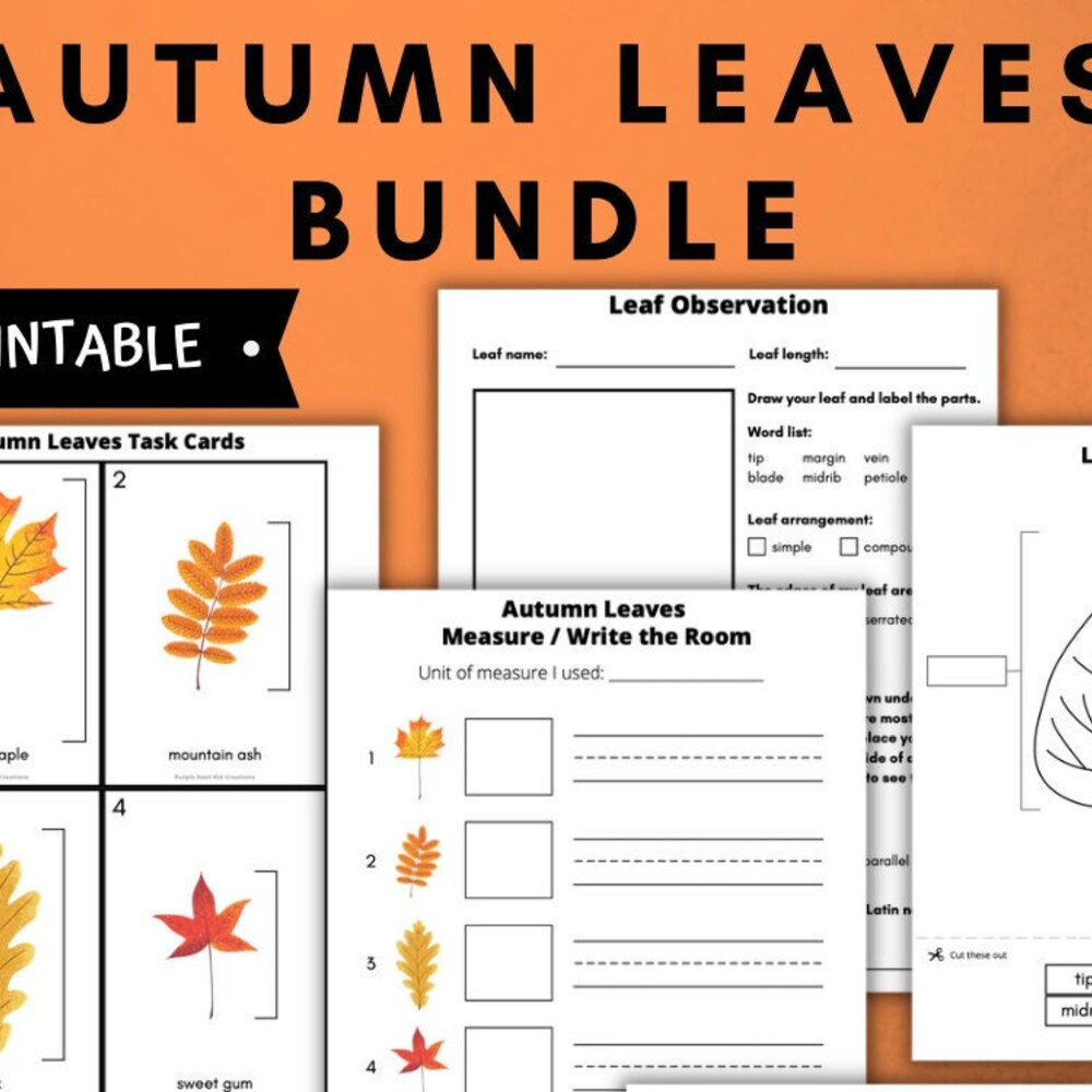 PurpleNestCreations - Etsy