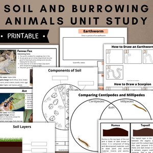 Soil & Burrowing Animals Unit Study: Educational Printables (PDF) - Etsy