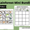Rainforest Unit Study, Biome Unit , Rainforest Animals Worksheets ...