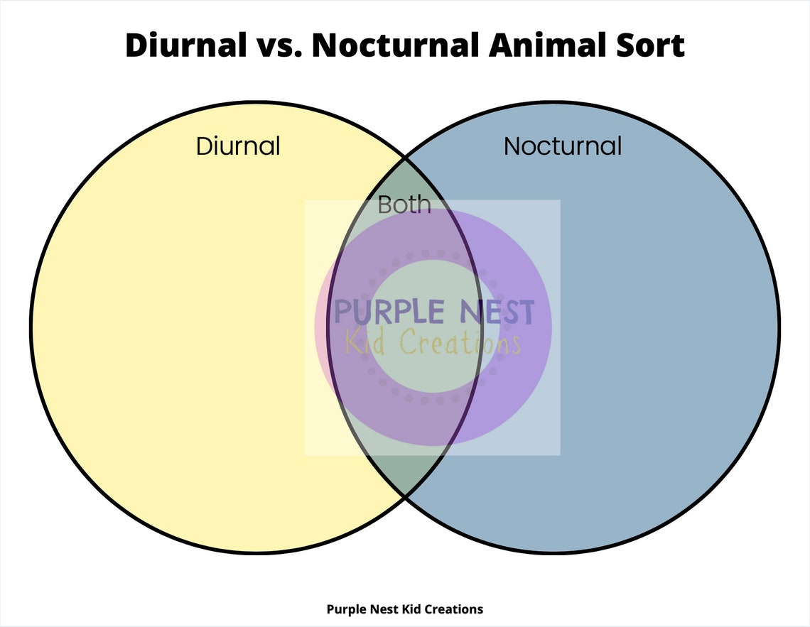 Diurnal Vs. Nocturnal Animal Sort Worksheet Animal Sorting - Etsy