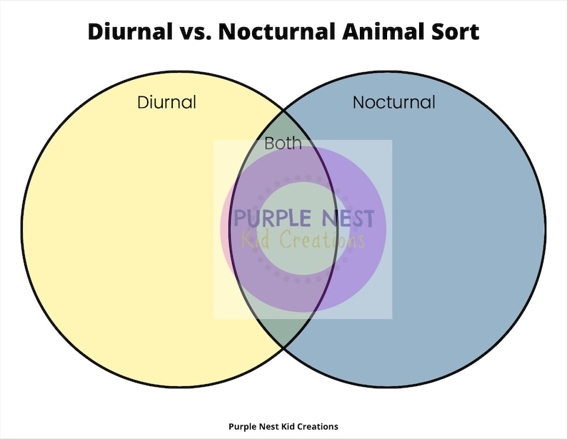 Diurnal Vs. Nocturnal Animal Sort Worksheet Animal Sorting - Etsy