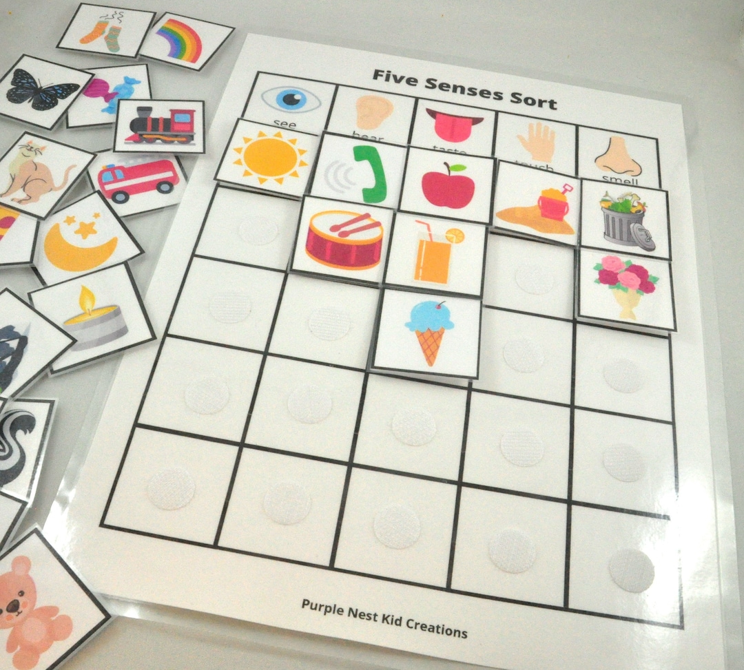 Five Senses Sort Worksheet, Sorting Game, All About Me, Educational ...