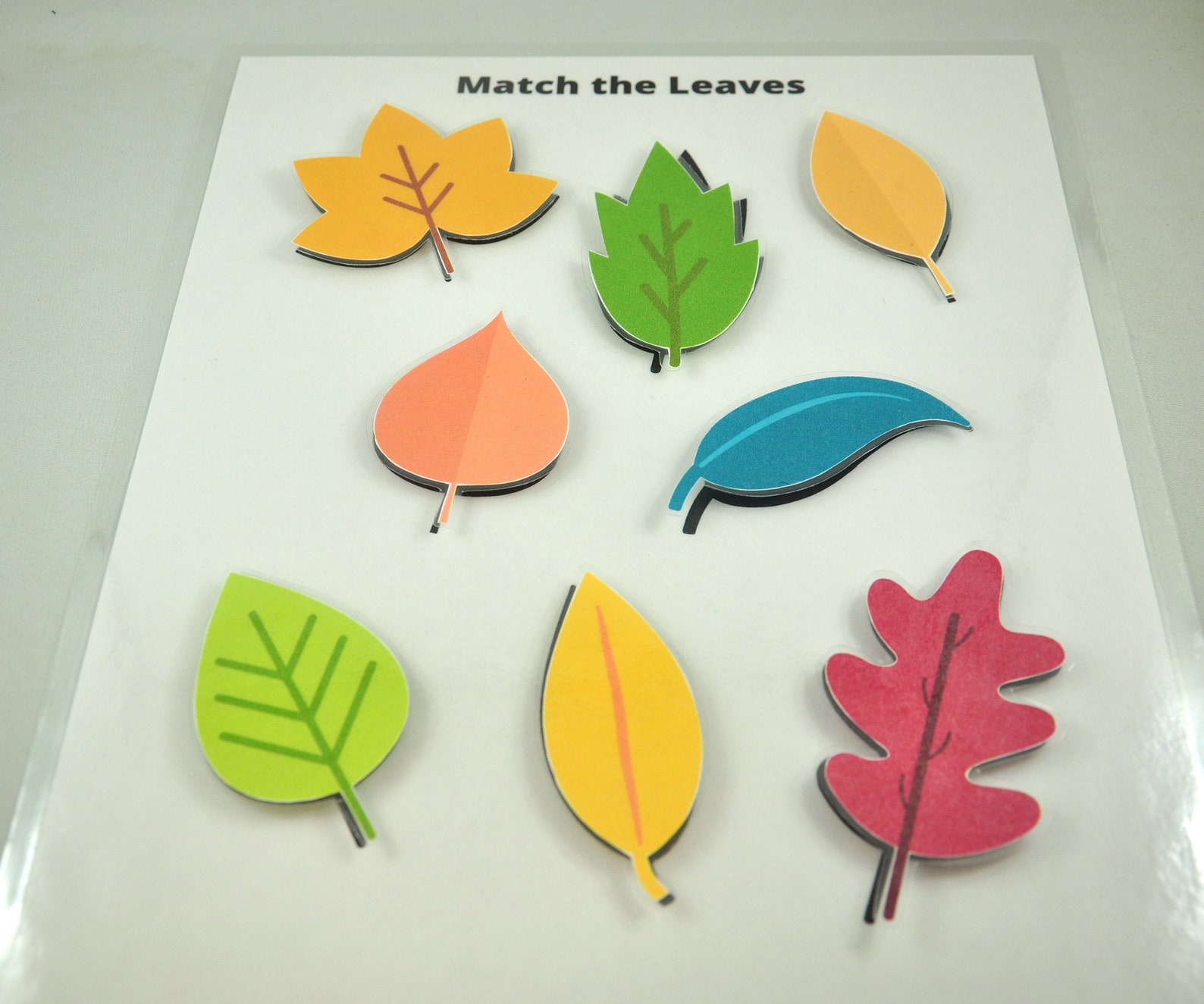 Match the Leaves Worksheet Leaves Matching Game Educational | Etsy