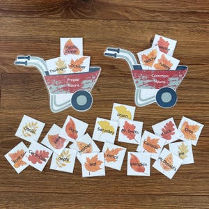 Types of Nouns Bundle, Language Arts, Nouns, Grammar, Sorting ...