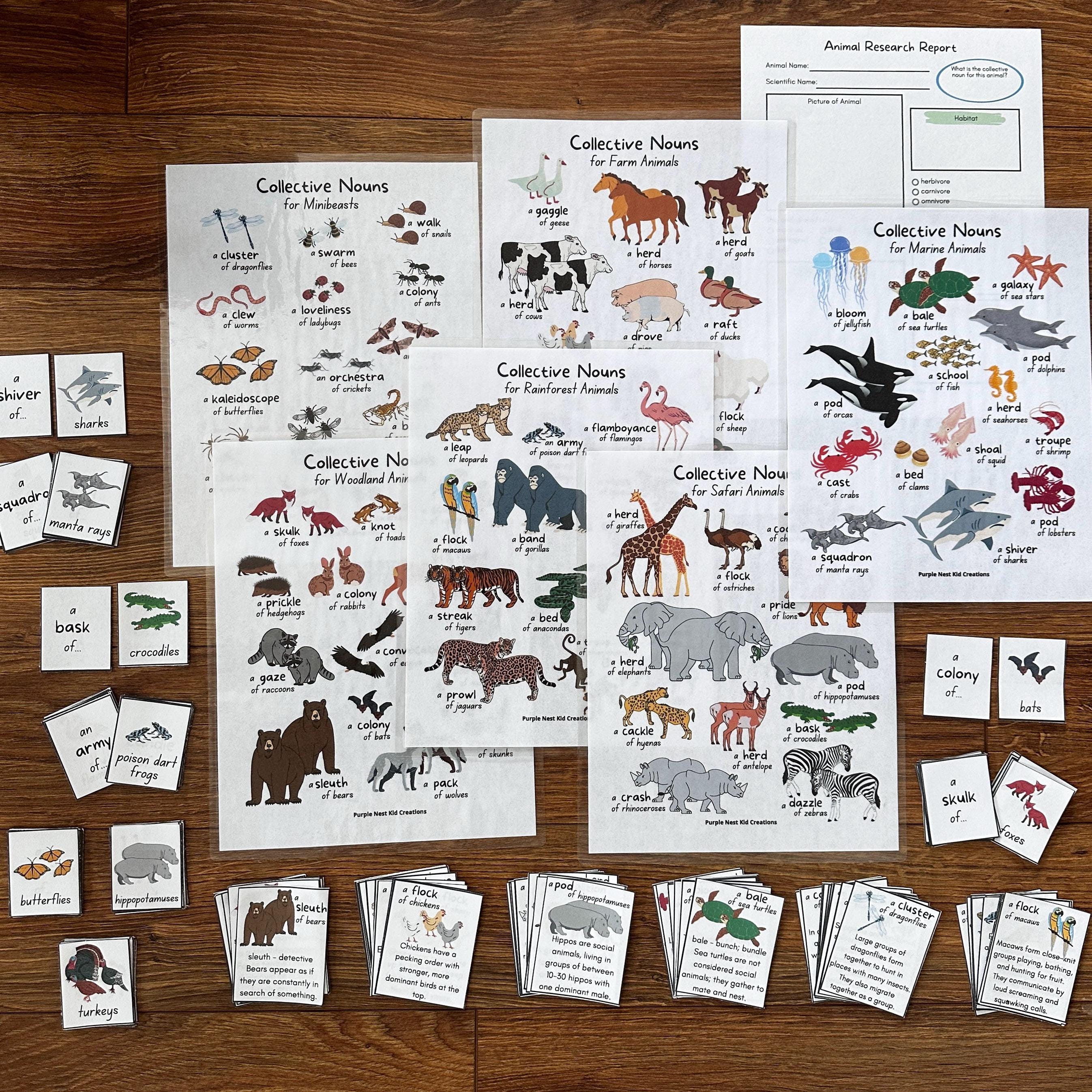 Animal Collective Nouns Posters & Matching Game (PDF Download) - Etsy