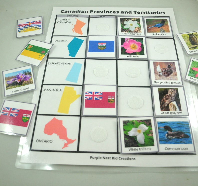 Canada Geography Matching Activity: Provinces, Flags, Birds (digital ...