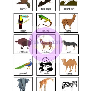 Continents & Oceans Matching Game: Educational Printable (digital ...