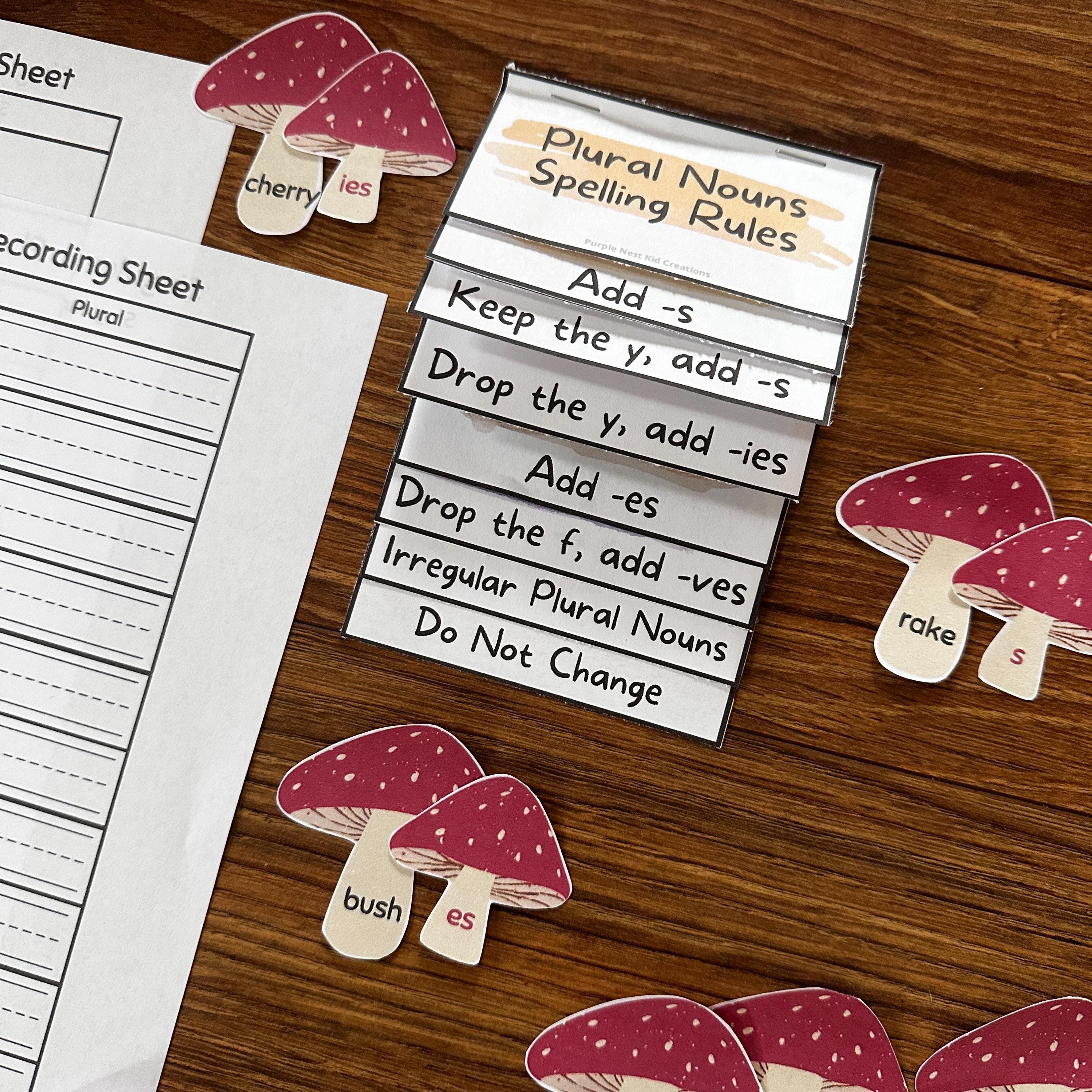 Plural Nouns Matching Activity: Grammar & Spelling (digital Download ...