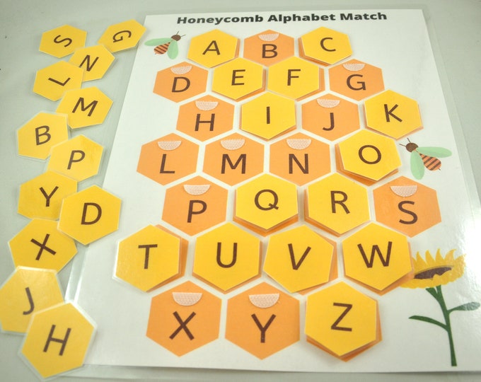Spider Web Alphabet Find and Cover Activity, Letters A to Z, Literacy ...