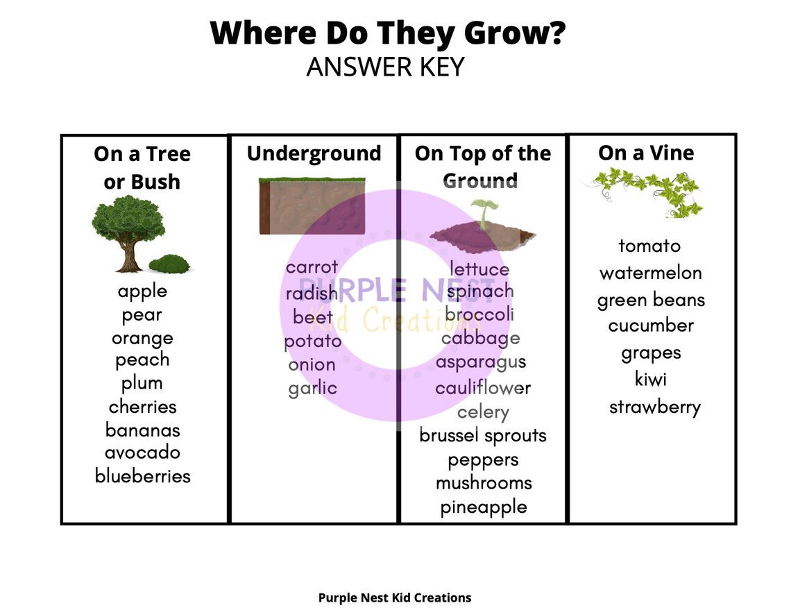 Fruits & Vegetables Sorting Mats: Educational Game (digital Download ...