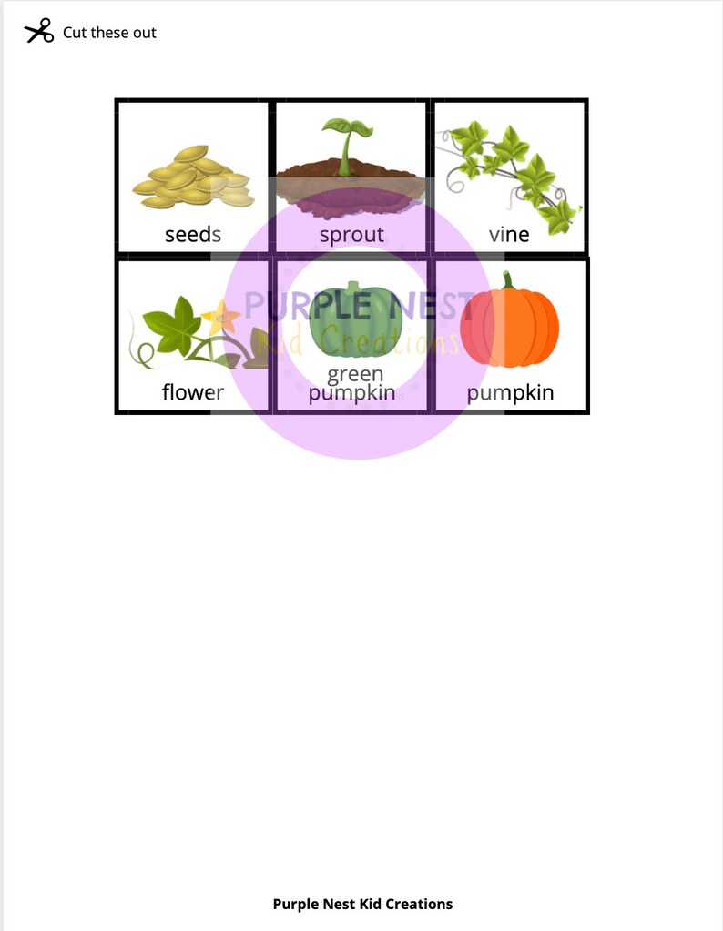 Life Cycle of a Pumpkin Worksheet Pumpkin Life Cycle Fall - Etsy