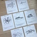 Ocean Animals Anatomy Worksheets: Educational Diagrams (PDF Pattern) - Etsy