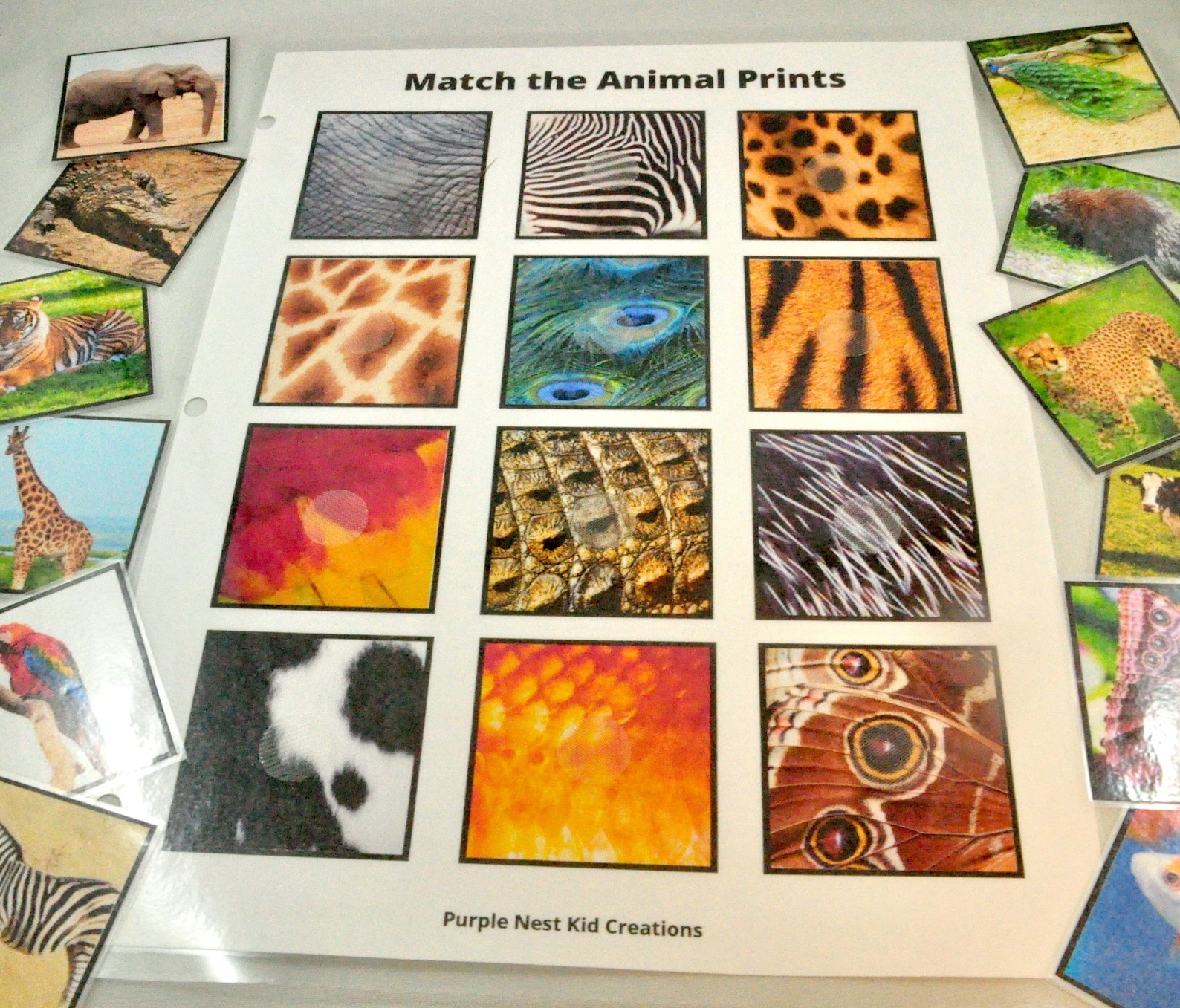 Match the Animal Prints Worksheet Animal Matching Game - Etsy