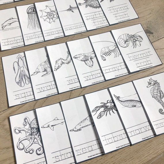 Ocean Theme Colouring and Tracing Cards Ocean Animals - Etsy